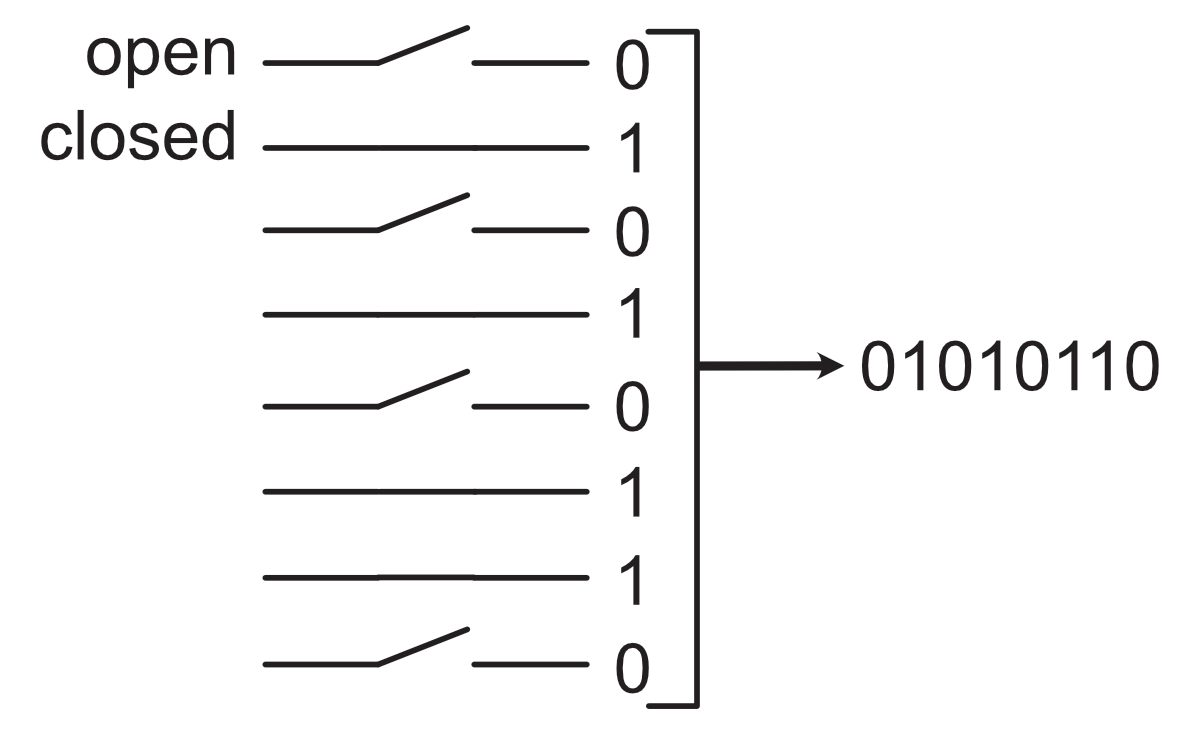 Introduction to Coding